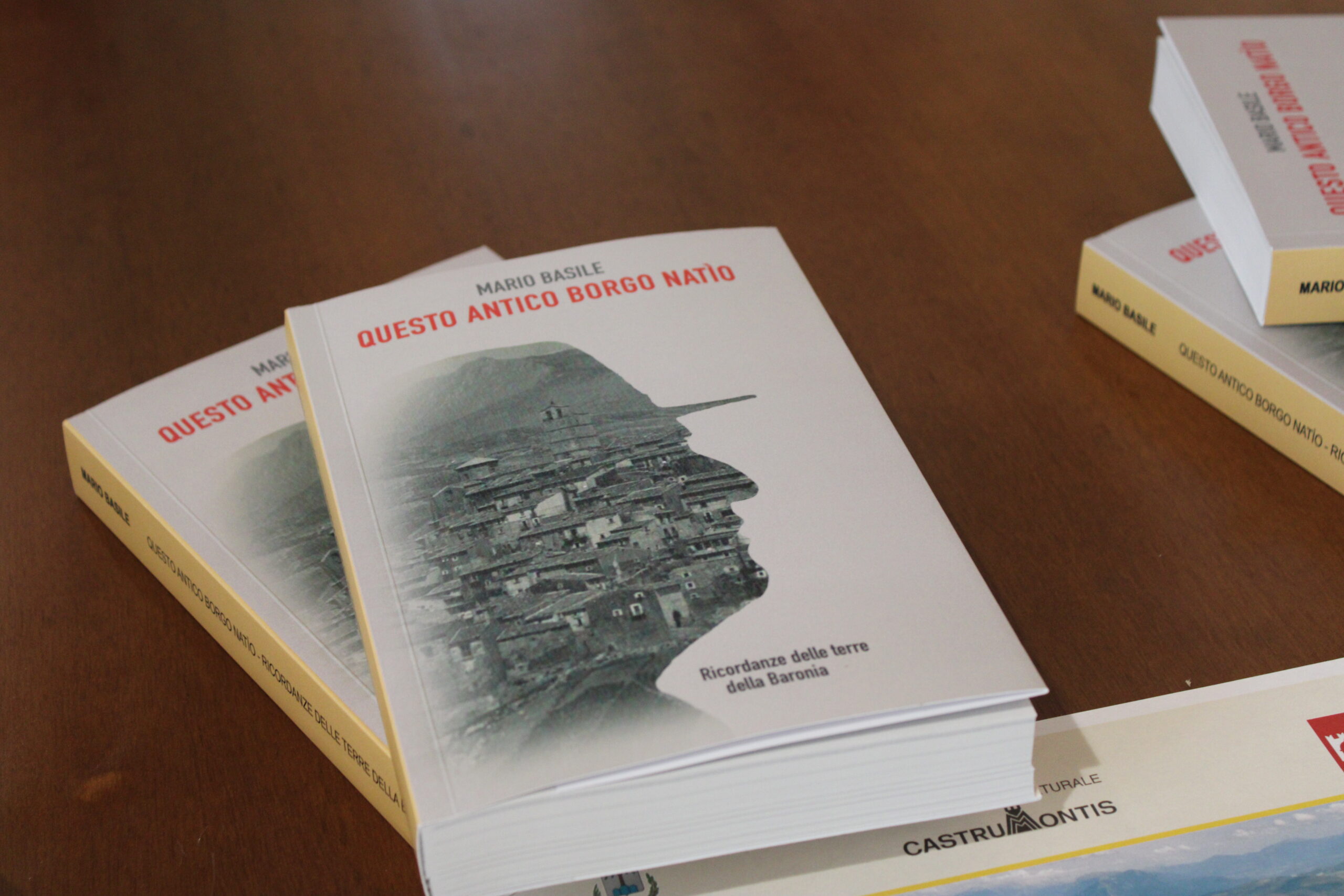 LE TERRE DELLA BARONIA TRA ROMANZO E REALTÀ NEL LIBRO DI MARIO BASILE ...